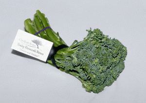 ElastiTag® – J-Tech Systems