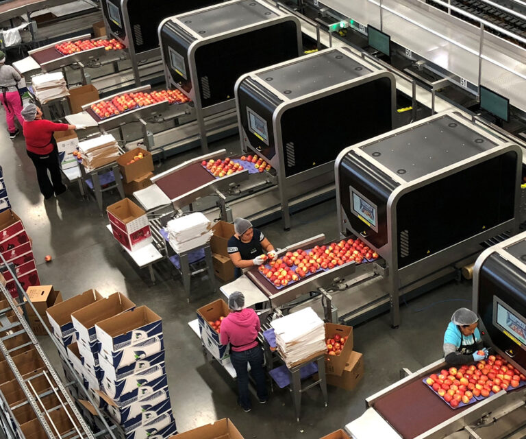 Aporo Robotic Produce Packer – J-Tech Systems